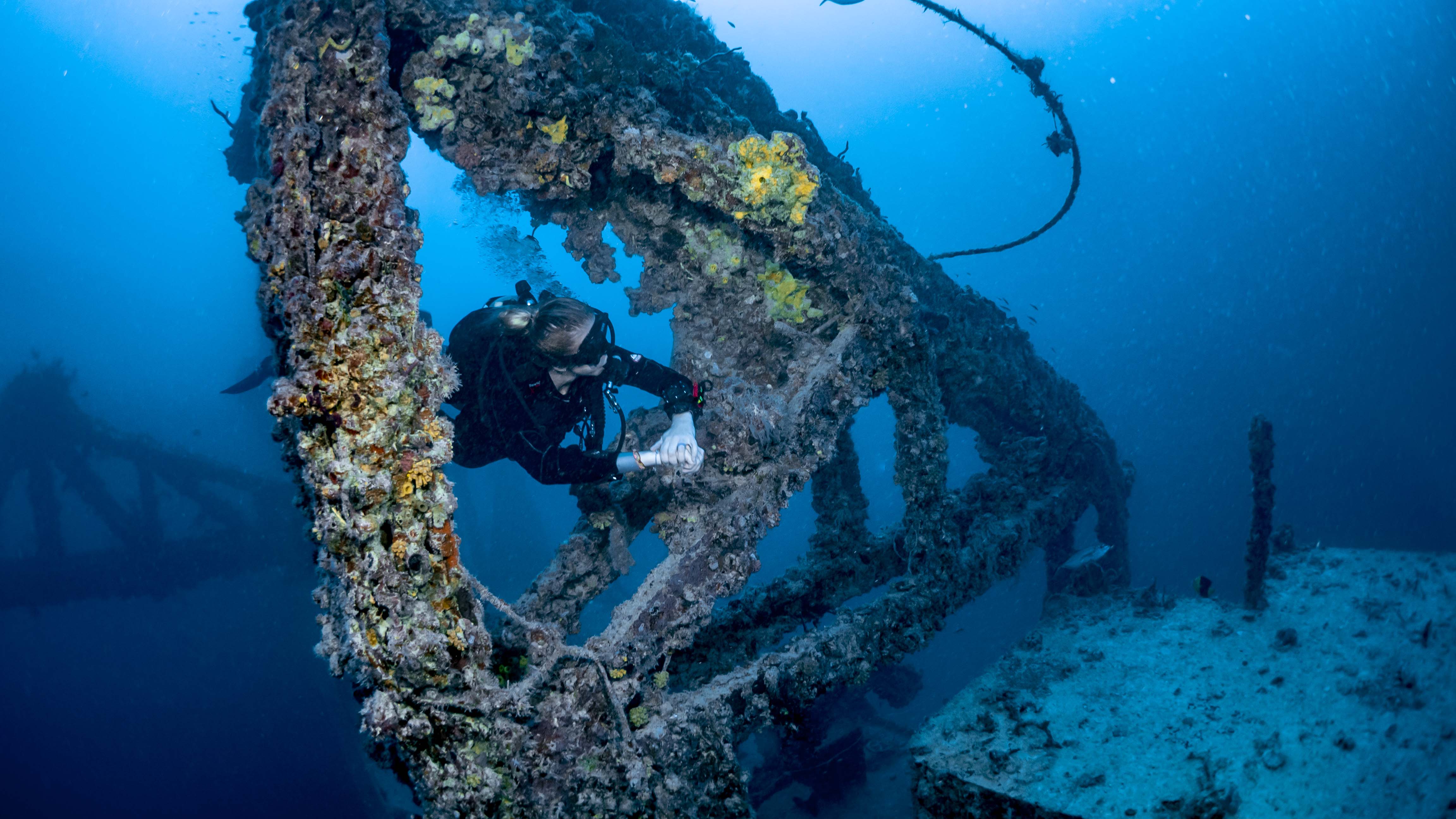 Deep Diver - 40M (4 boat dives included!!) – Extreme Watersport